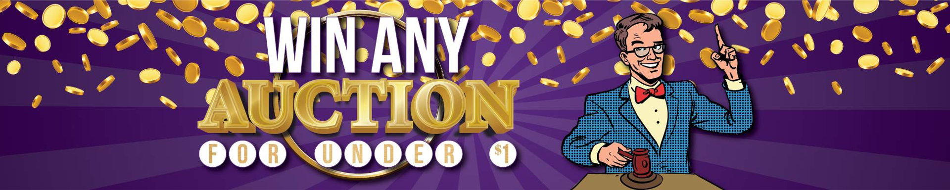 How it Works | BIDLIFE