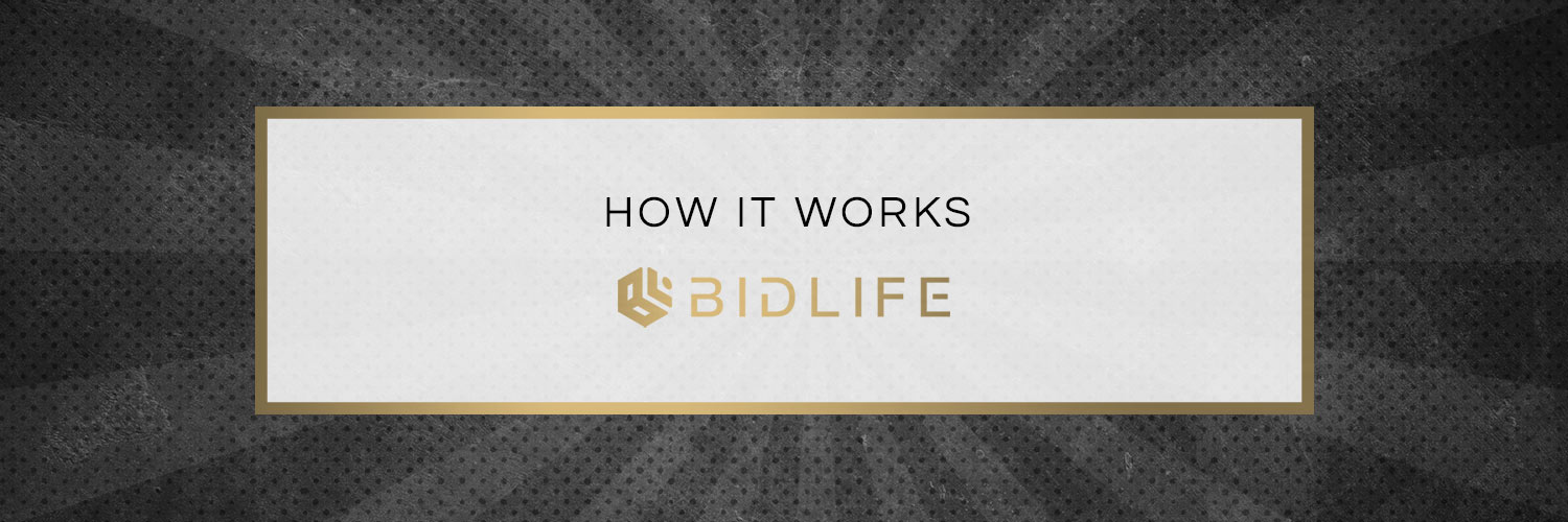 How it Works | BIDLIFE